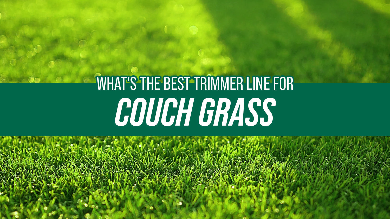 The Best Trimmer Line for Couch Grass (Bermuda) – Davo Gets It Done